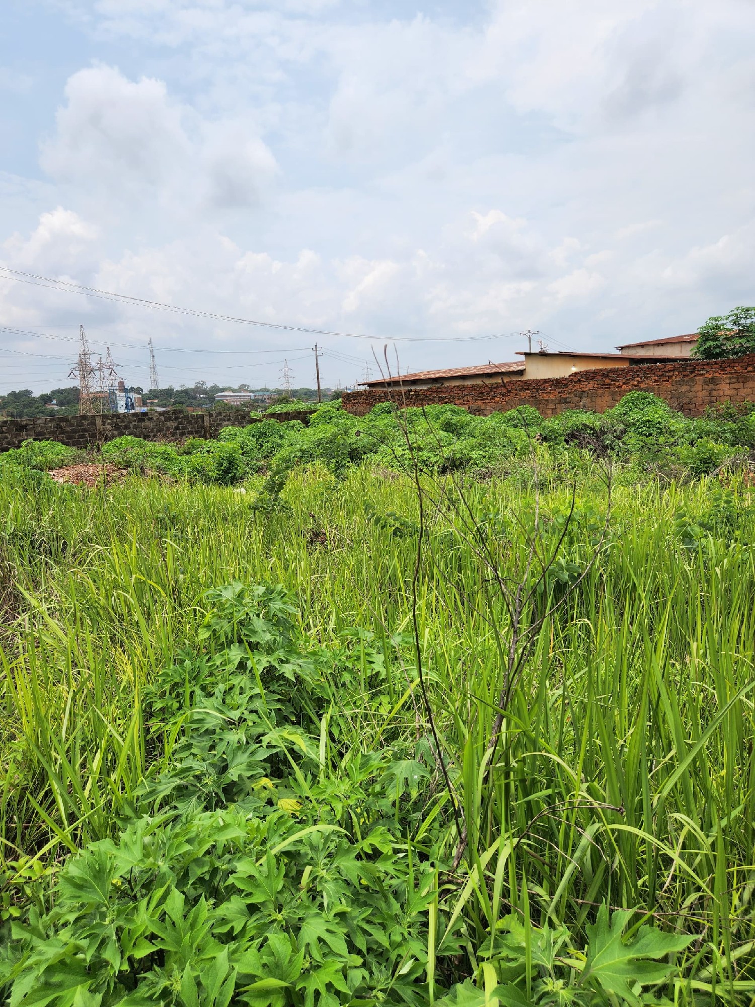 PARCELLE À VENDRE DANS LA VILLE DE LUBUMBASHI QUARTIER MAKOMENO | A ...