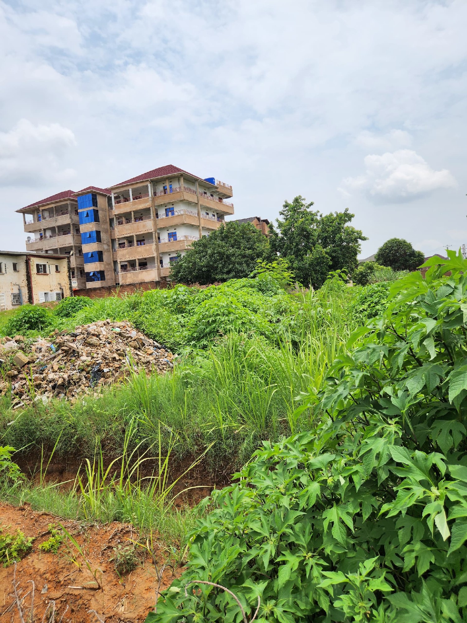 PARCELLE À VENDRE DANS LA VILLE DE LUBUMBASHI QUARTIER MAKOMENO | A ...